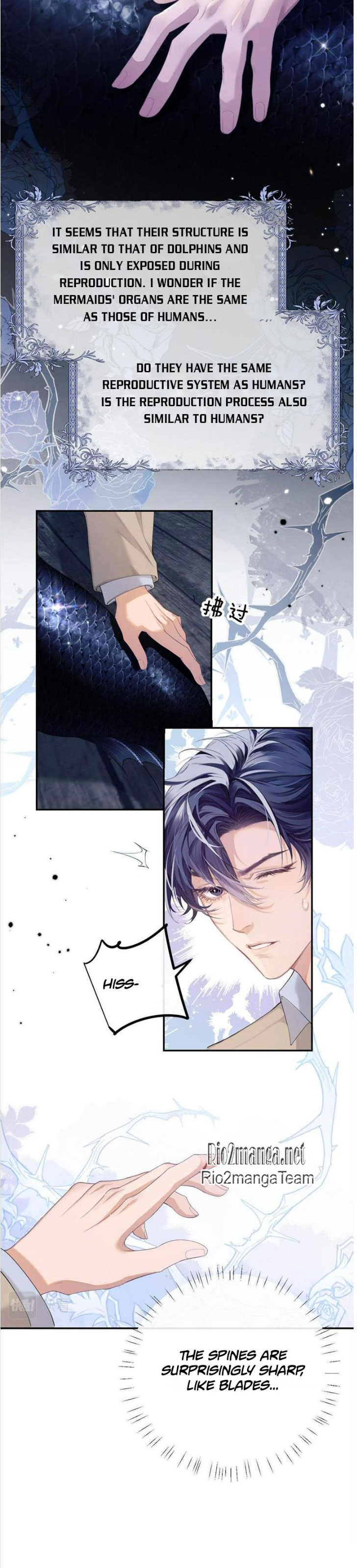 Desharow Mermaid - Chapter 1 - JIN